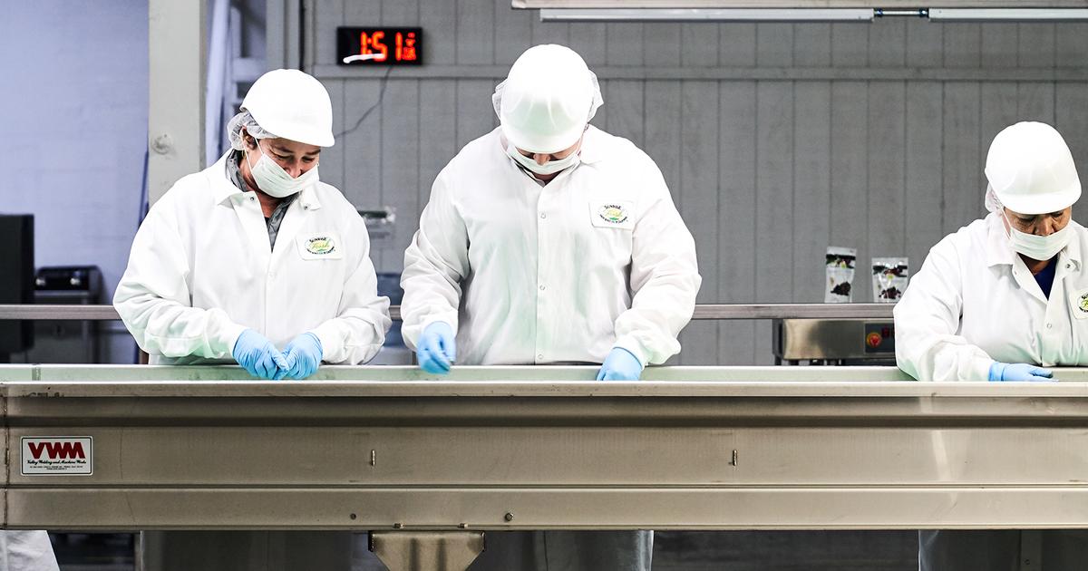 AQUALAB: Major Findings on Alternative Sweeteners | AQUALAB | AQUALAB